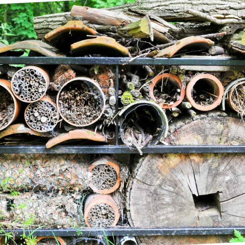 Build a Bug Hotel: A Fun Activity for Kids - Farmer Palmer's